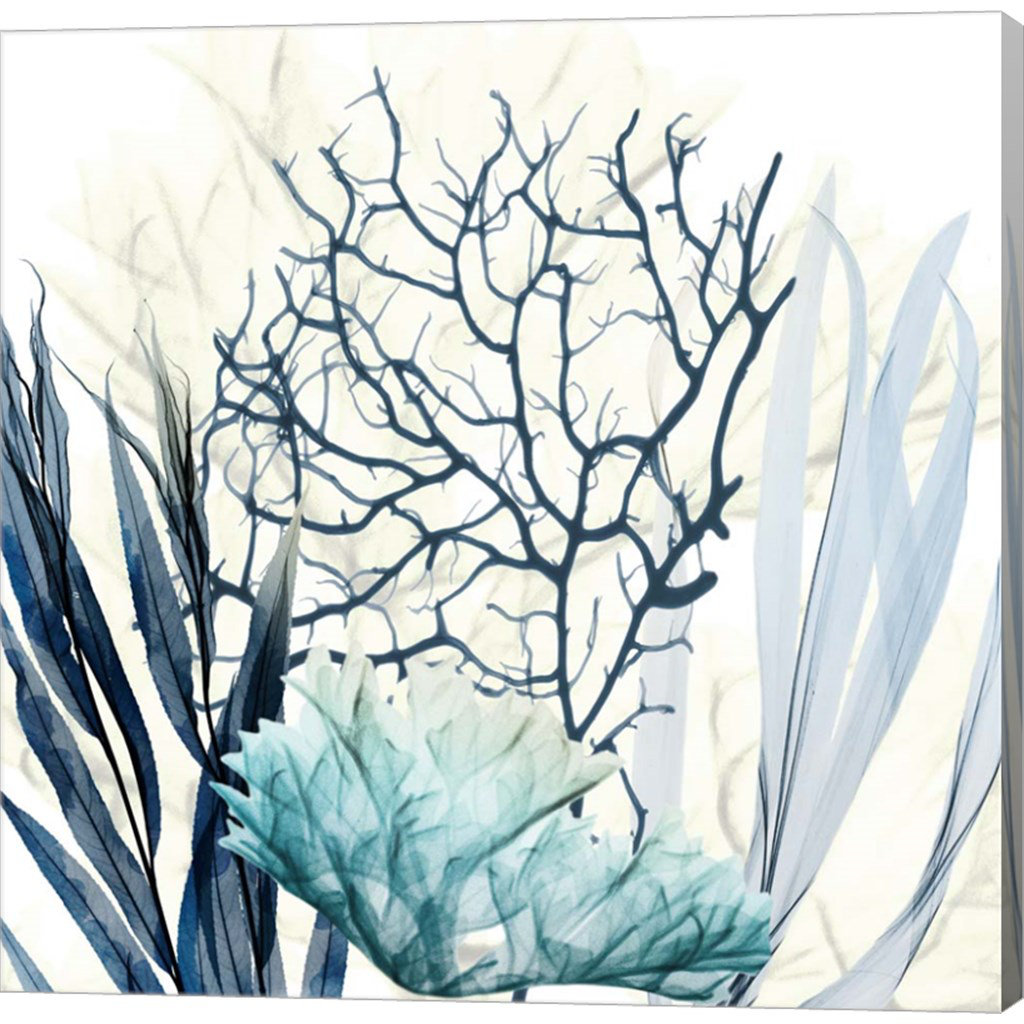 Highland Dunes Ocean Floor Life 1 by Albert Koetsier - Wrapped Canvas ...