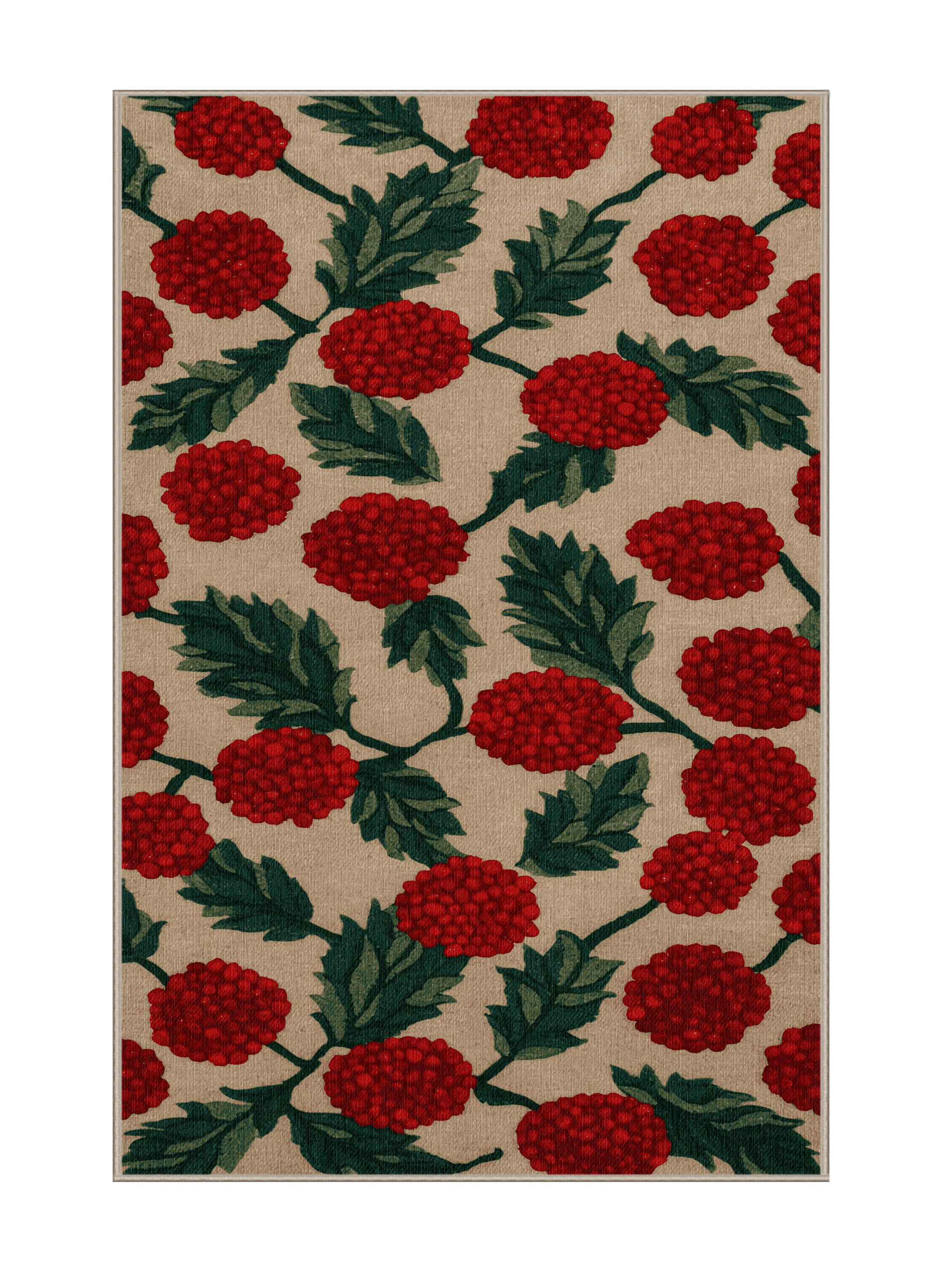Dakota Fields Washable Goji Berry Fruits Area Rug | Wayfair