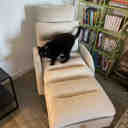 George Oliver Jonilda Upholstered Accent Chair and Ottoman with ...