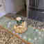 Sand & Stable™ Espey Rectangular Table Runner & Reviews | Wayfair
