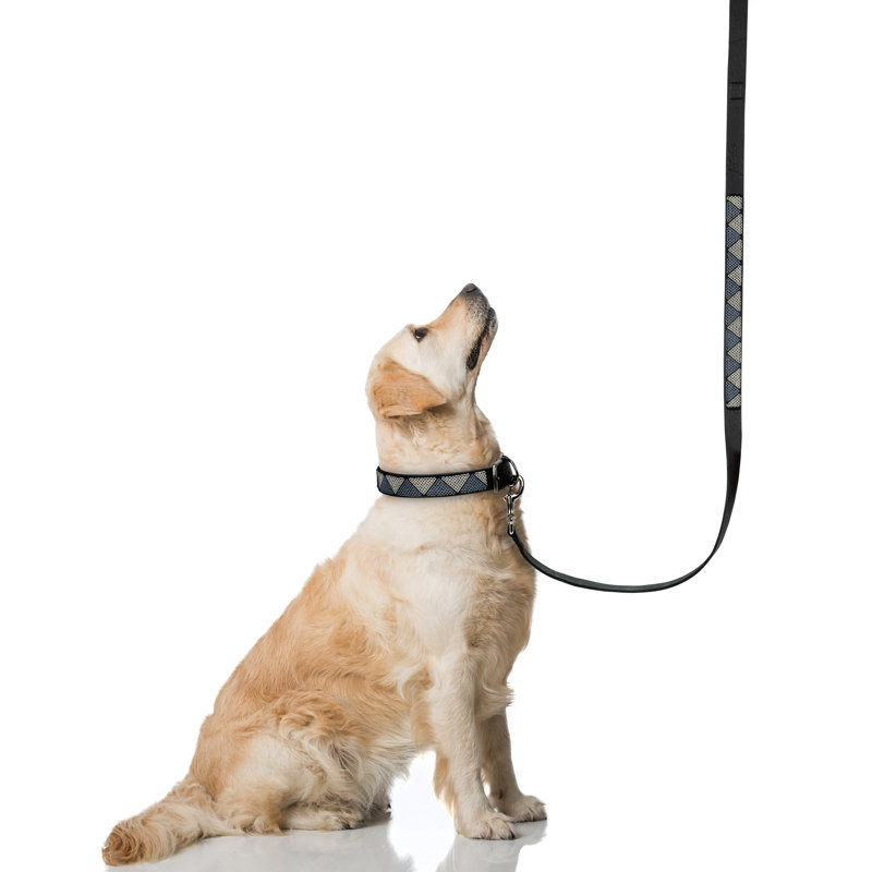 Jabulani Beaded Leather 48" Dog Leash - Silver Celestial | Wayfair