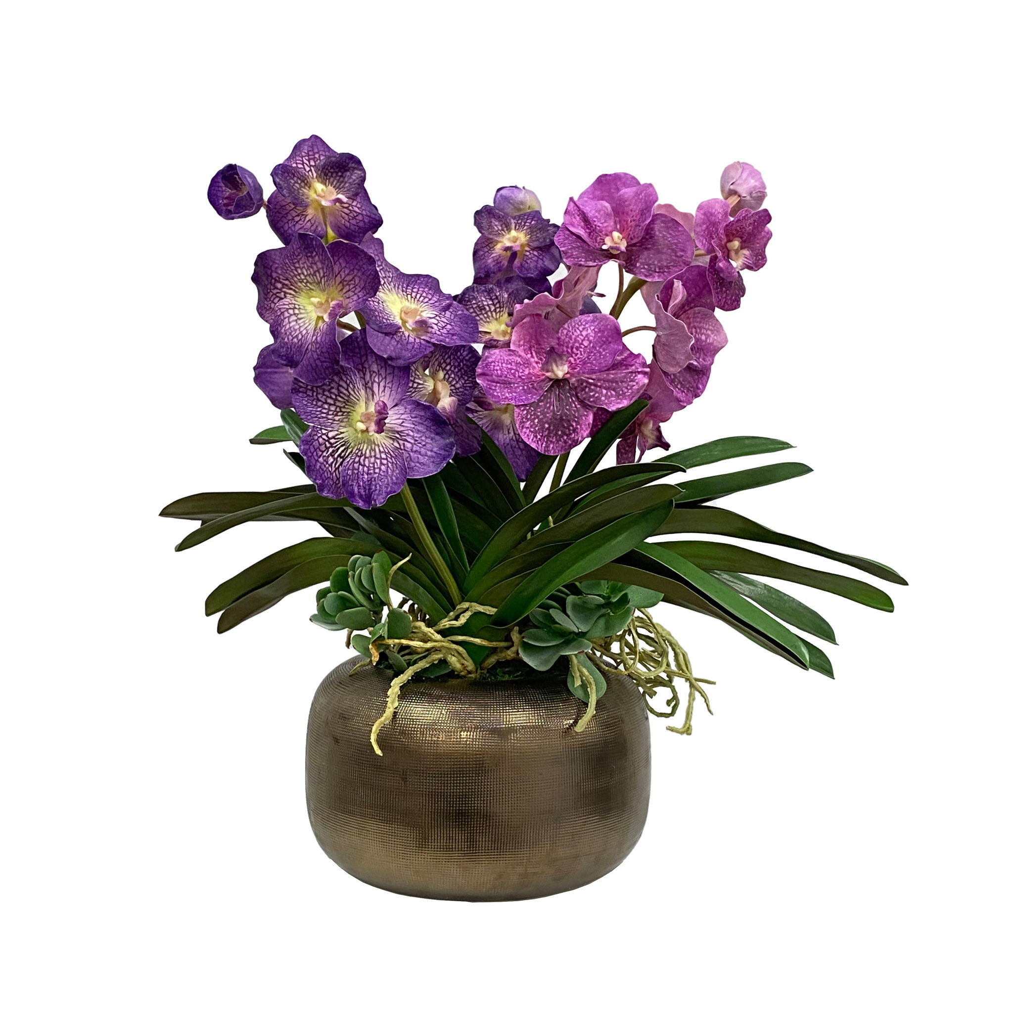 Winward Silks Succulent Centerpiece in Pot | Wayfair