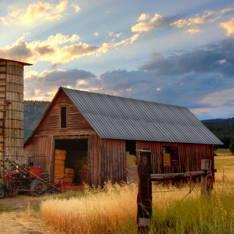 Thanaddo 15X Roof Panels Galvanized Steel Hardware Roofing Sheets ...