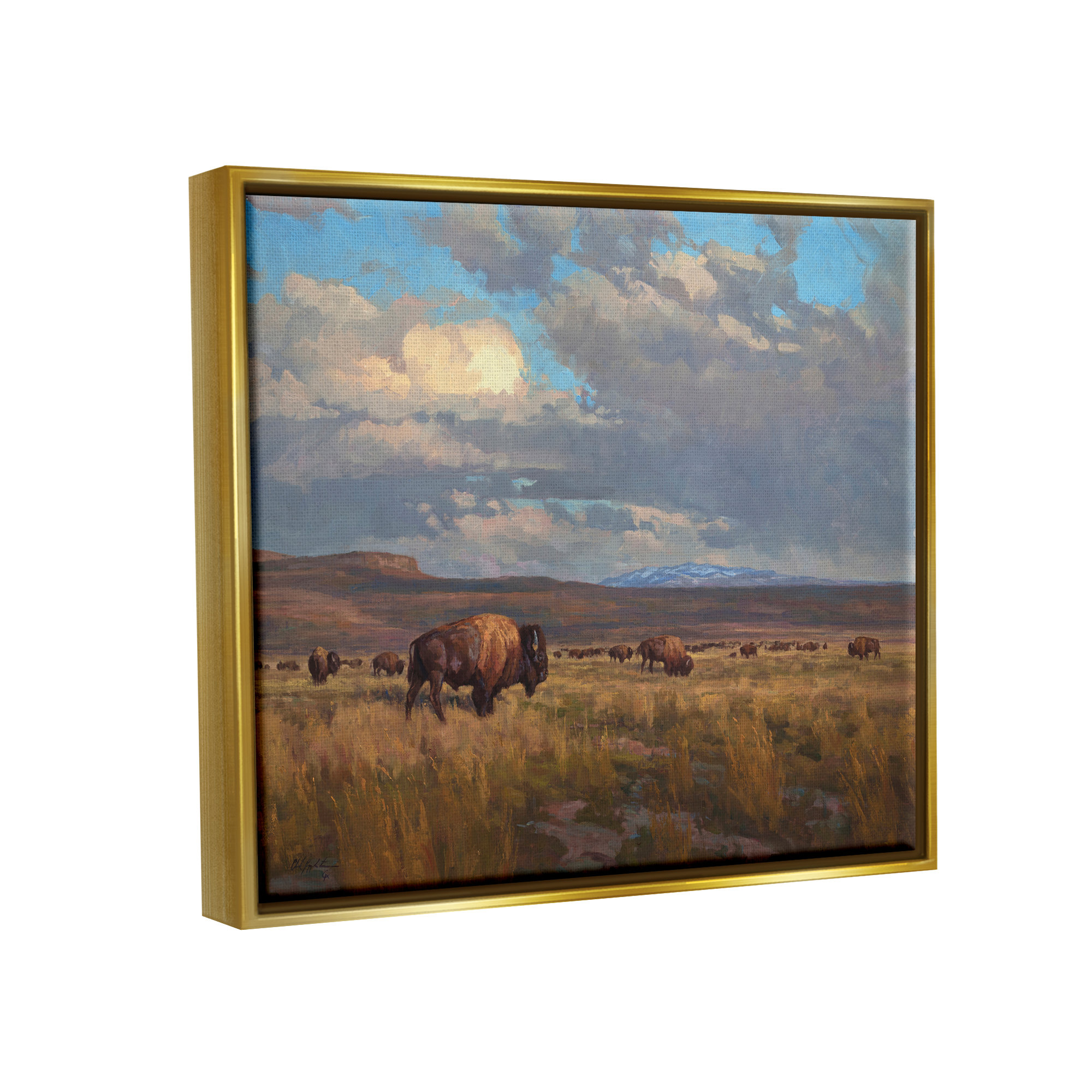 Union Rustic Buffalo Cloudy Landscape by Chad Poppleton - Floater Frame ...