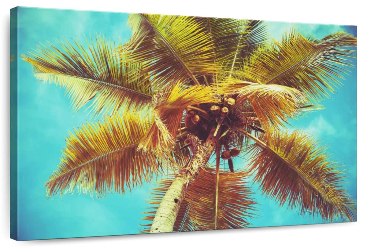 Lark Manor Harnek Summer Palm Tree - Wayfair Canada