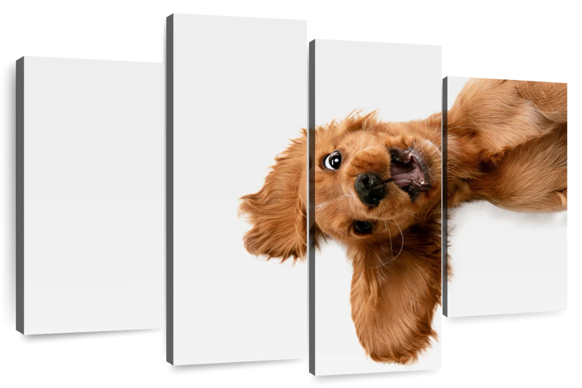 Ebern Designs Brampt Happy Cocker Spaniel Puppy | Wayfair