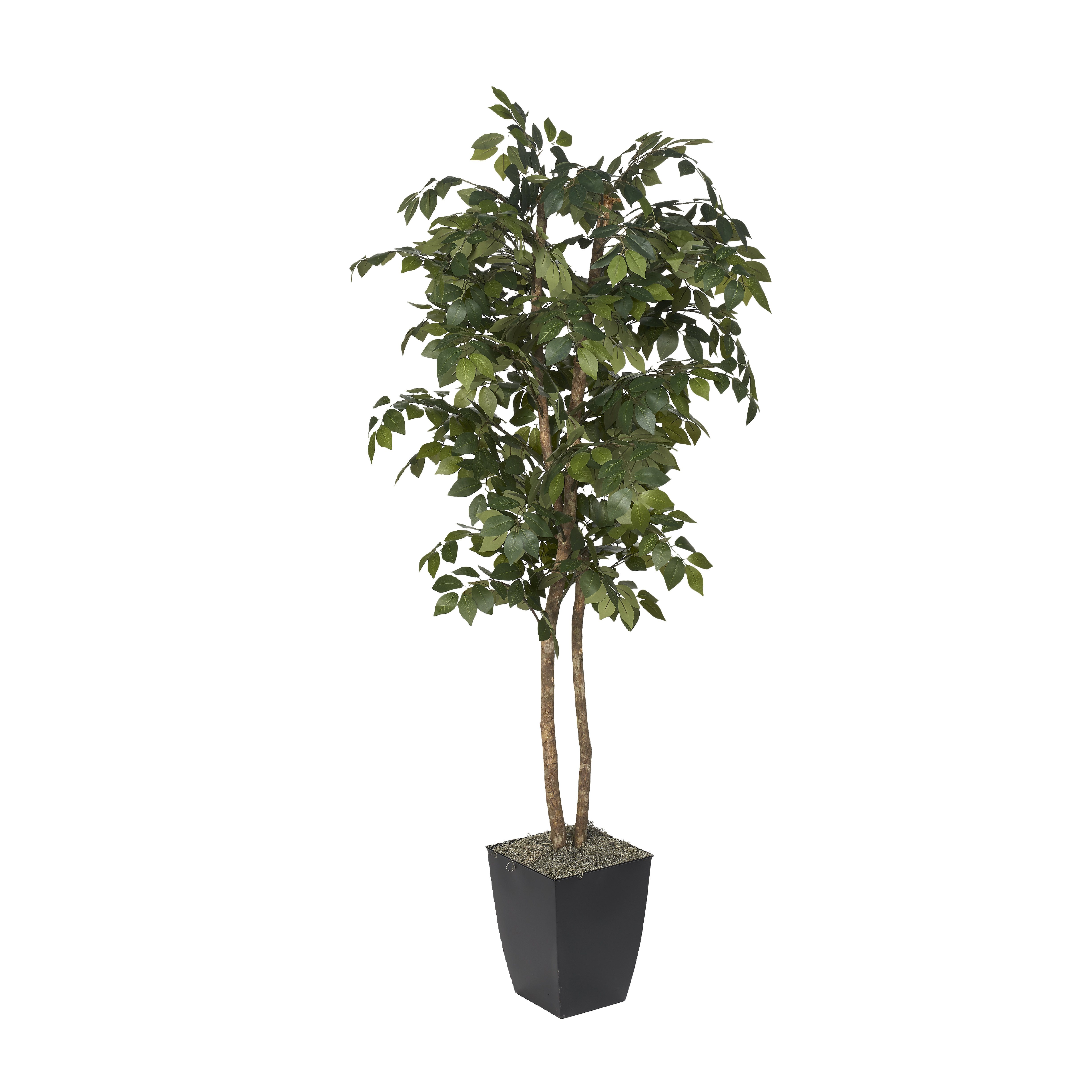 Primrue 72'' Faux Sakaki Tree in Metal Planter | Wayfair