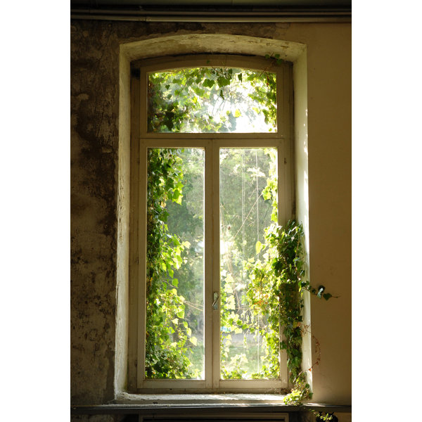 Ebern Designs Window Overgrown with Foliage - Unframed Graphic Art ...