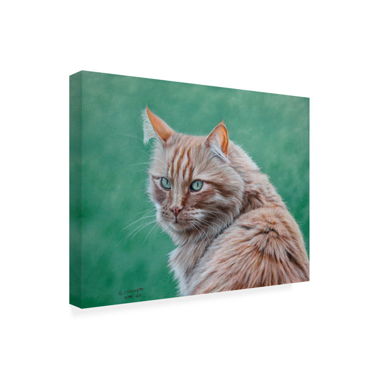 Ebern Designs Pet Portrait Of Tiggy The Cat On Canvas by Steve Crockett ...