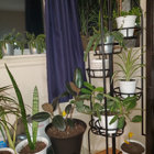 Fleur De Lis Living Bridget Plant Stand & Reviews - Wayfair Canada