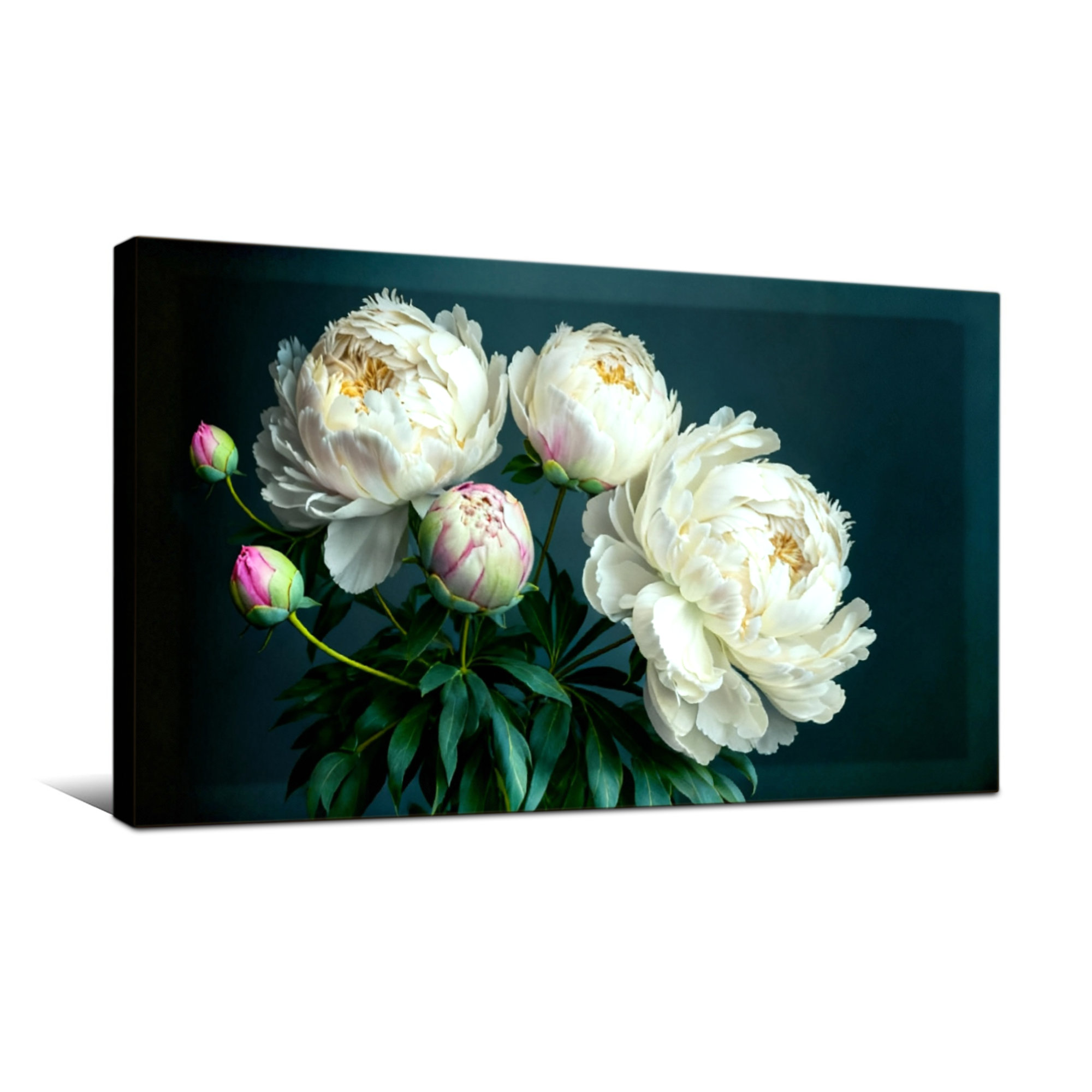 Astoria Grand Plants &Flowers White Peonies With Green Leaves And Buds ...