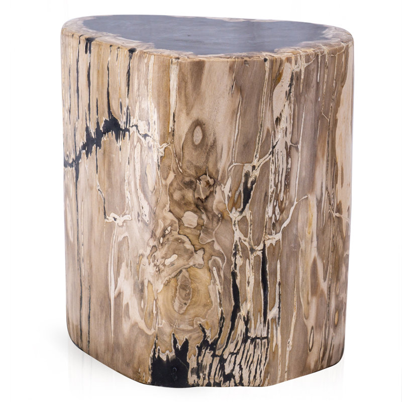 Daribali Design Fossil Relics End Table | Wayfair
