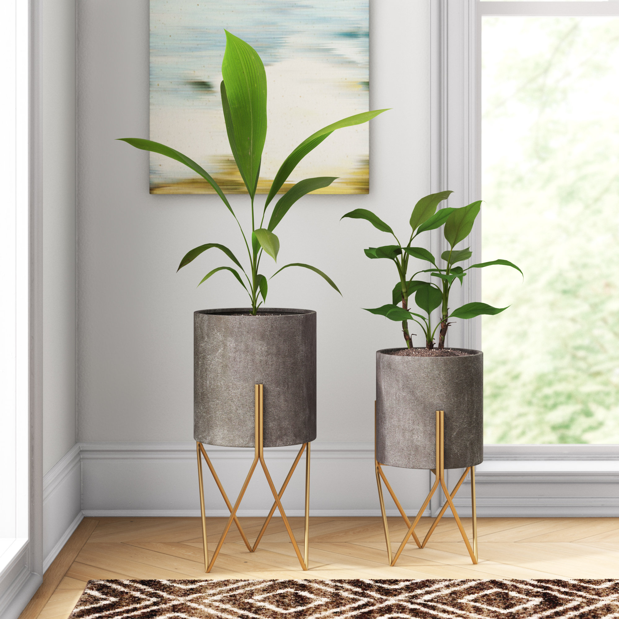 Indoor Modern Potted Plants