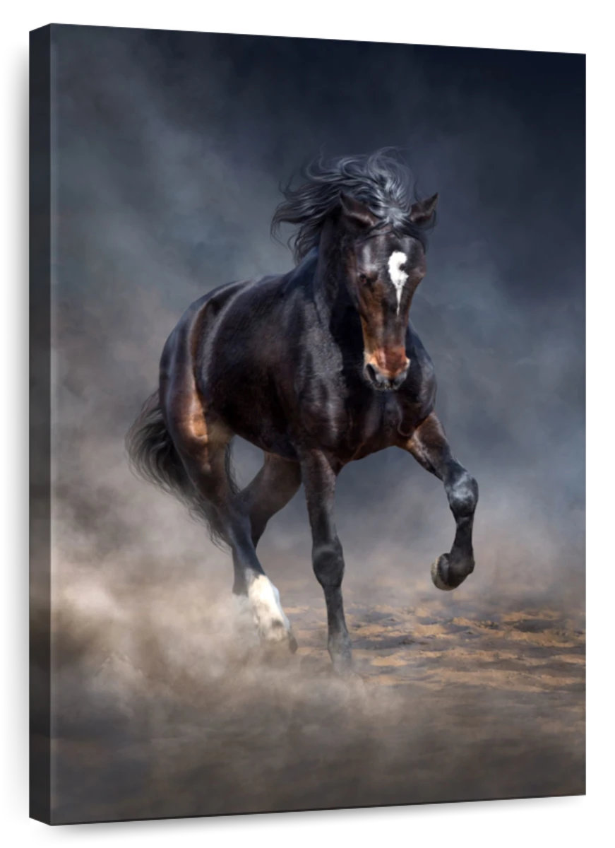 Millwood Pines Running Wild Horse | Wayfair