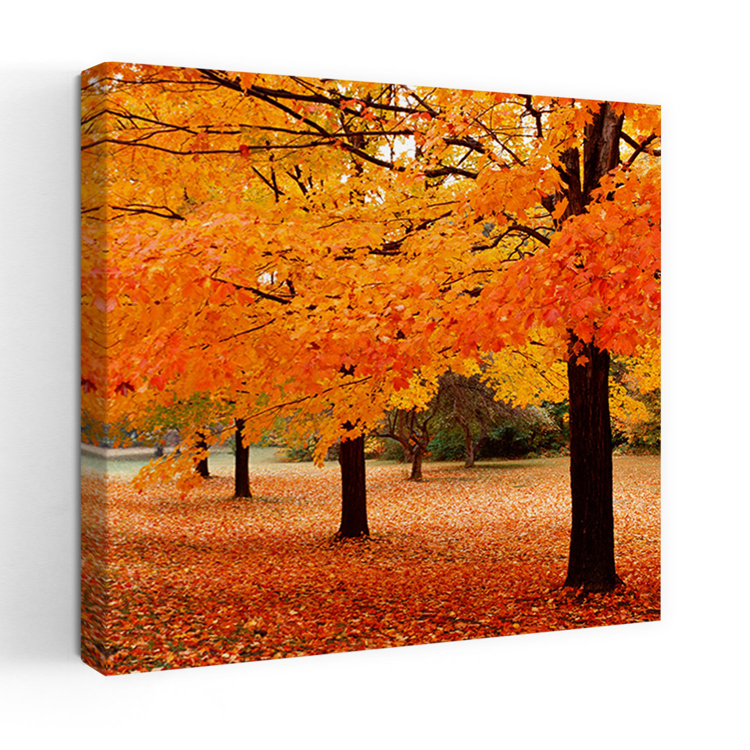 Red Barrel Studio® Usa New York State Erie County Chestnut Ridge ...