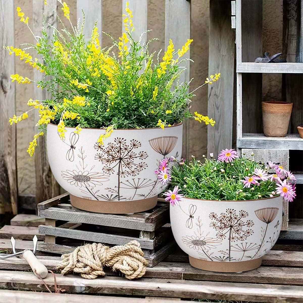 Dakota Fields 8 Inch + 6 Inch White Terracotta Flower Pots,Succulent ...