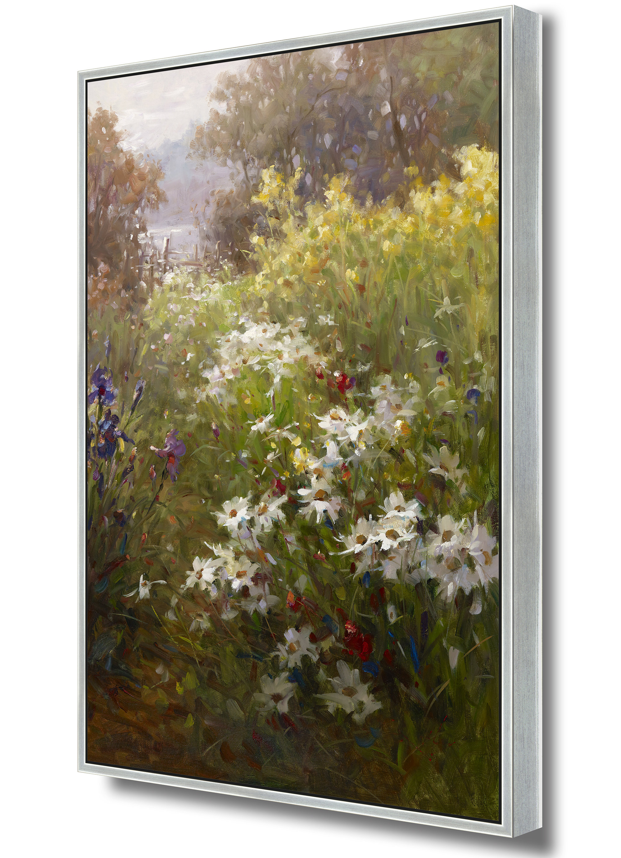 Barrington Fine Art " Daisy Edge " | Wayfair