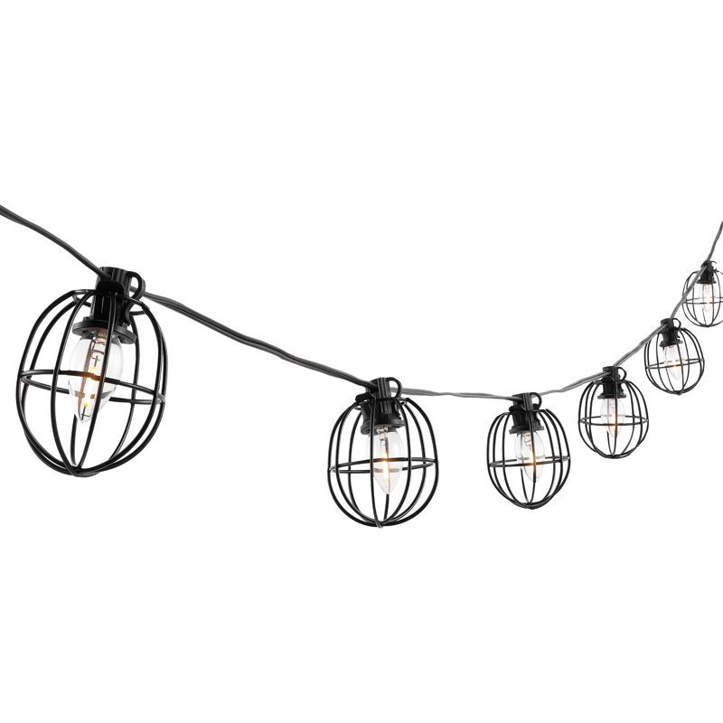 Joss & Main Baltimore 120' Outdoor 10 - Bulb Standard String Light (End ...