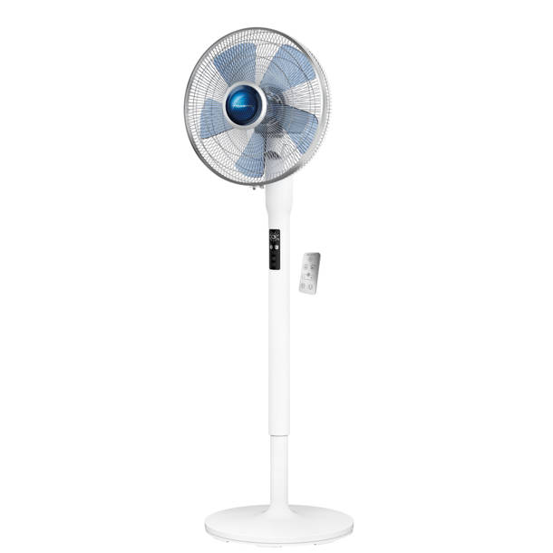 NewAir 55.9" Oscillating Standing Fan & Reviews | Wayfair