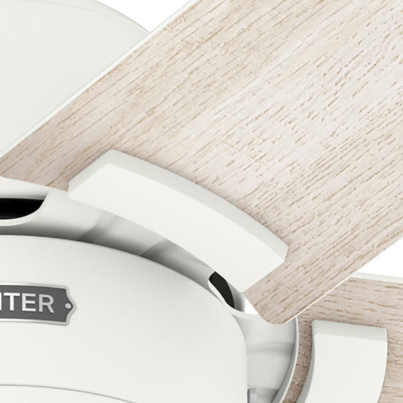 Hunter Fan 52" Erling 6 - Blade Ceiling Fan with LED Light Kit and Pull ...