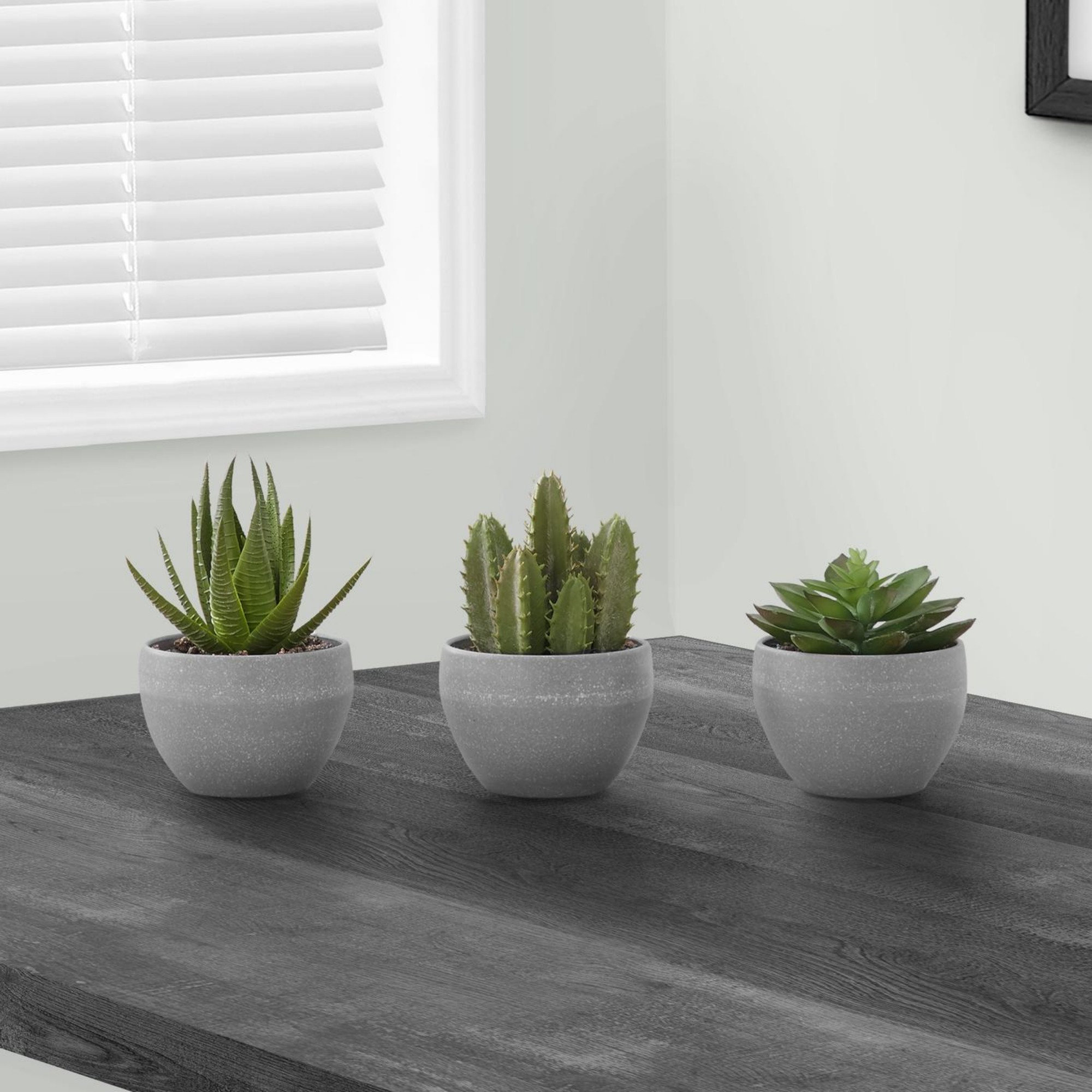 Primrue Set of 3 Succulent Plants in Cement Pots for Contemporary Decor ...