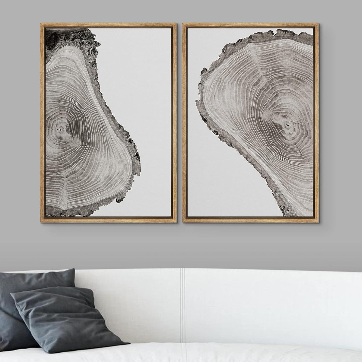 wall26 Black & White Forest Wood Tree Ring Collage Nature Wilderness ...