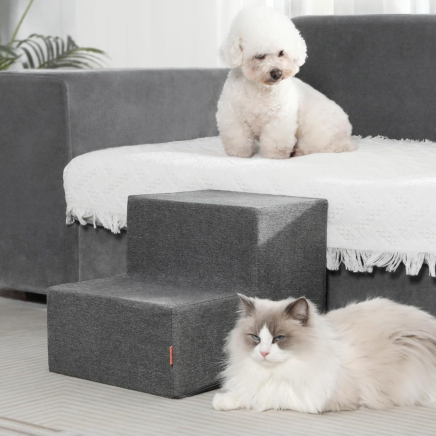 Fish hunter 2 Step Pet Stair - Wayfair Canada