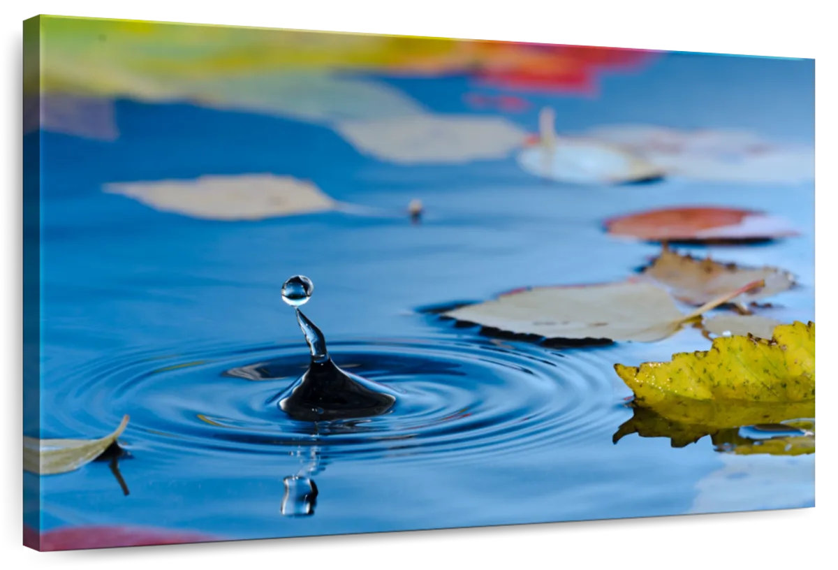 Millwood Pines Alvord Drip Drop | Wayfair