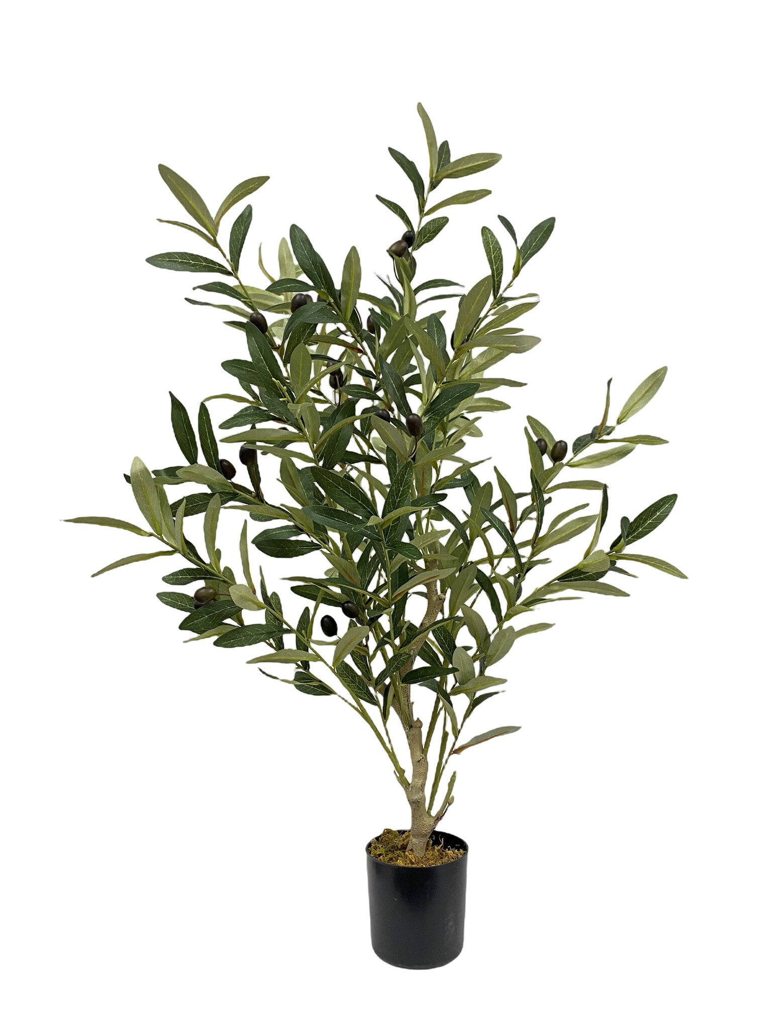 Ophelia & Co. 32'' Plant | Birch Lane