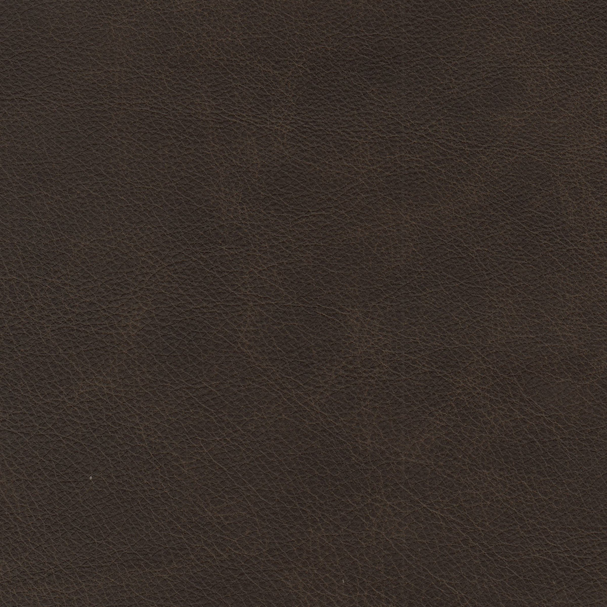 Canora Grey Taheem CAL117 Compliant 52'' Wide Tufted Genuine Leather ...