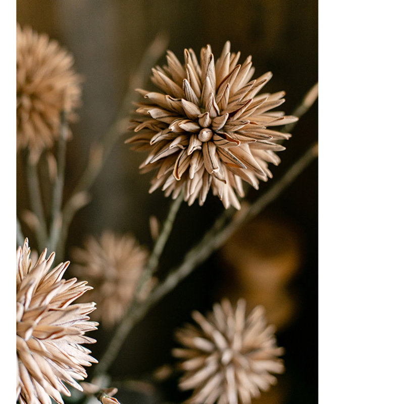 Primrue Round Ball Stems | Wayfair