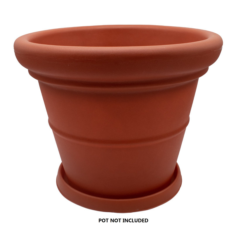 Latitude Run® Traylen 2 Piece Plant Saucer Set | Wayfair