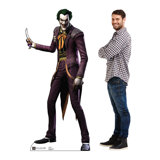 Wayfair | Superhero and Villain Life Size Cutouts You'll Love in 2023