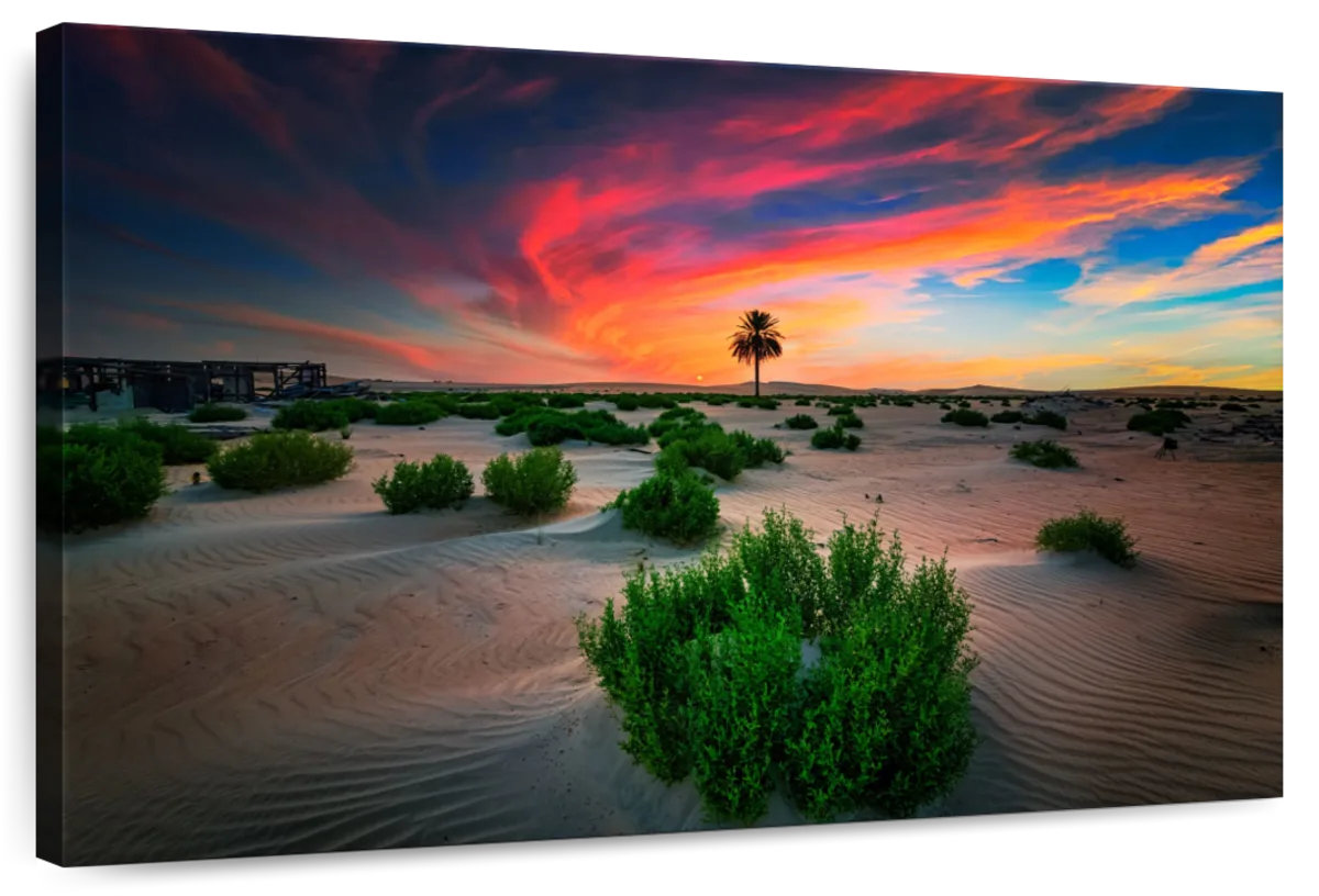 Millwood Pines Alvord Al Hufuf Desert | Wayfair