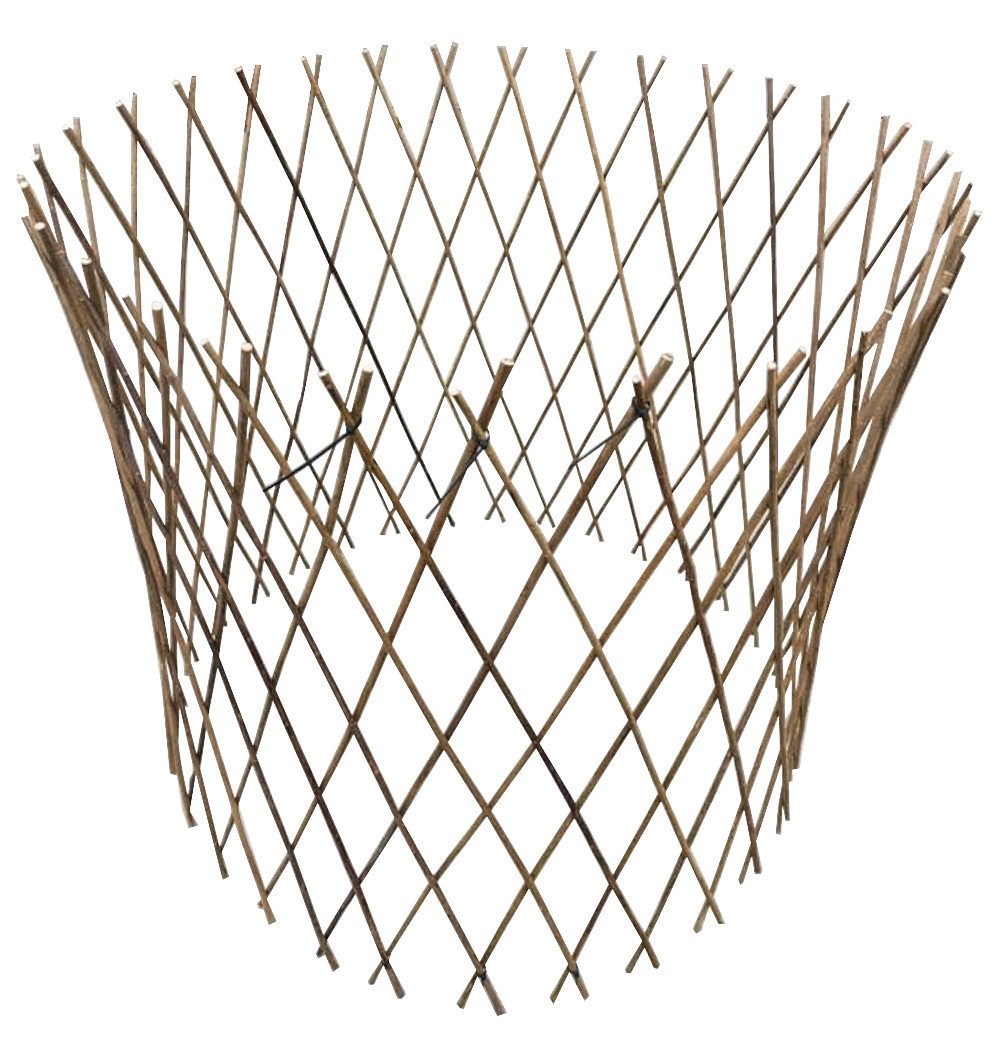 MGP Willow Cone Wood Expanding Trellis ampersandReviews - Wayfair Canada