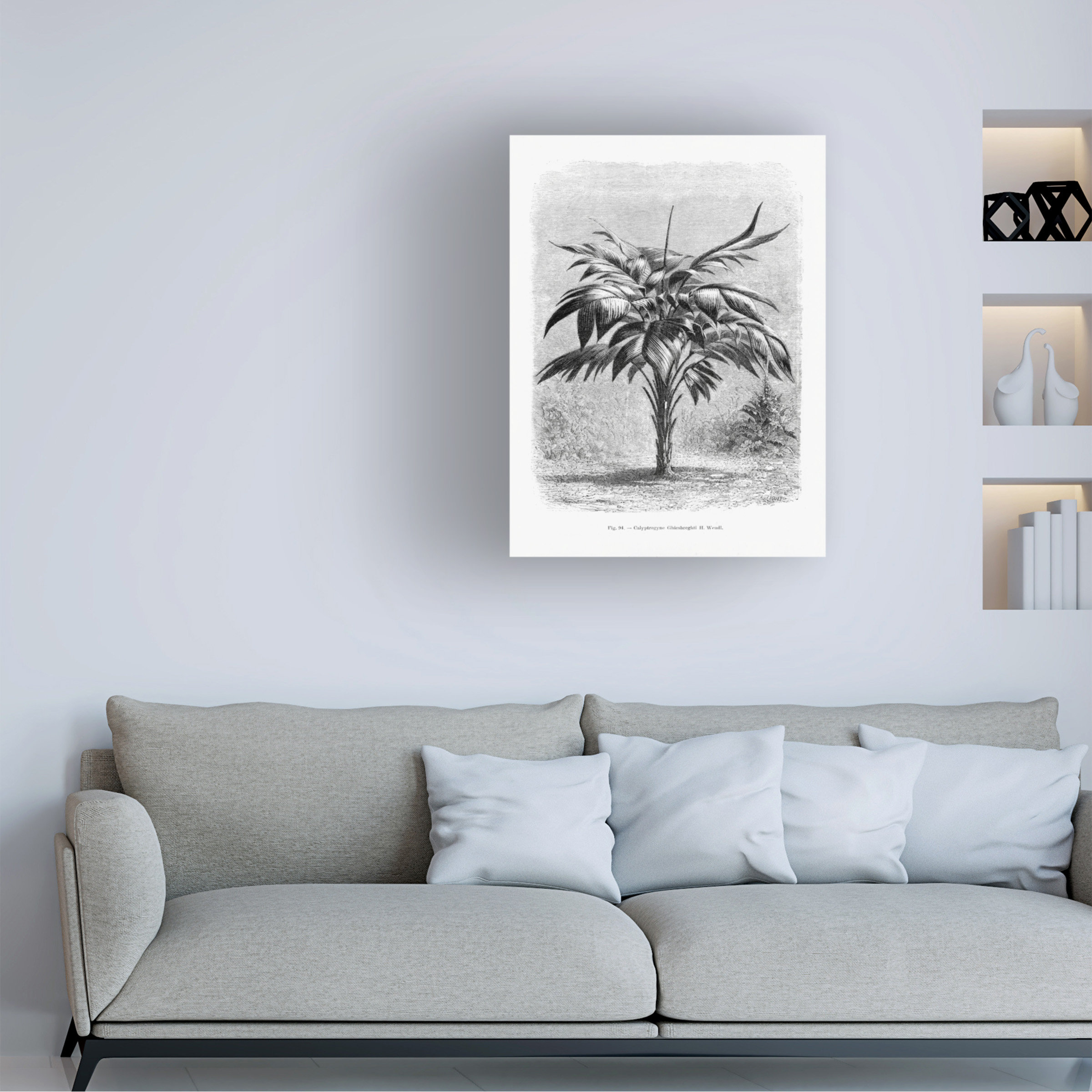 Trademark Fine Art Les Palmiers Histoire Vintage Palm Tree Drawing Viii ...