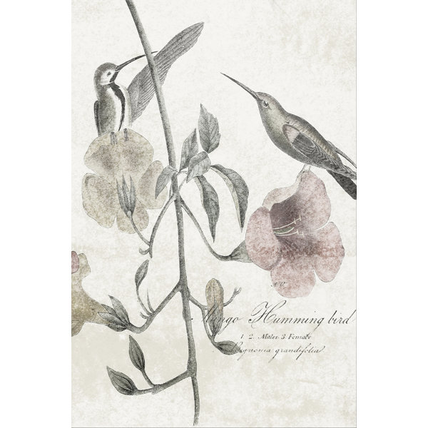 Marlow Home Co. Soft Hummingbirds II by Studio W - Wrapped Canvas Art ...