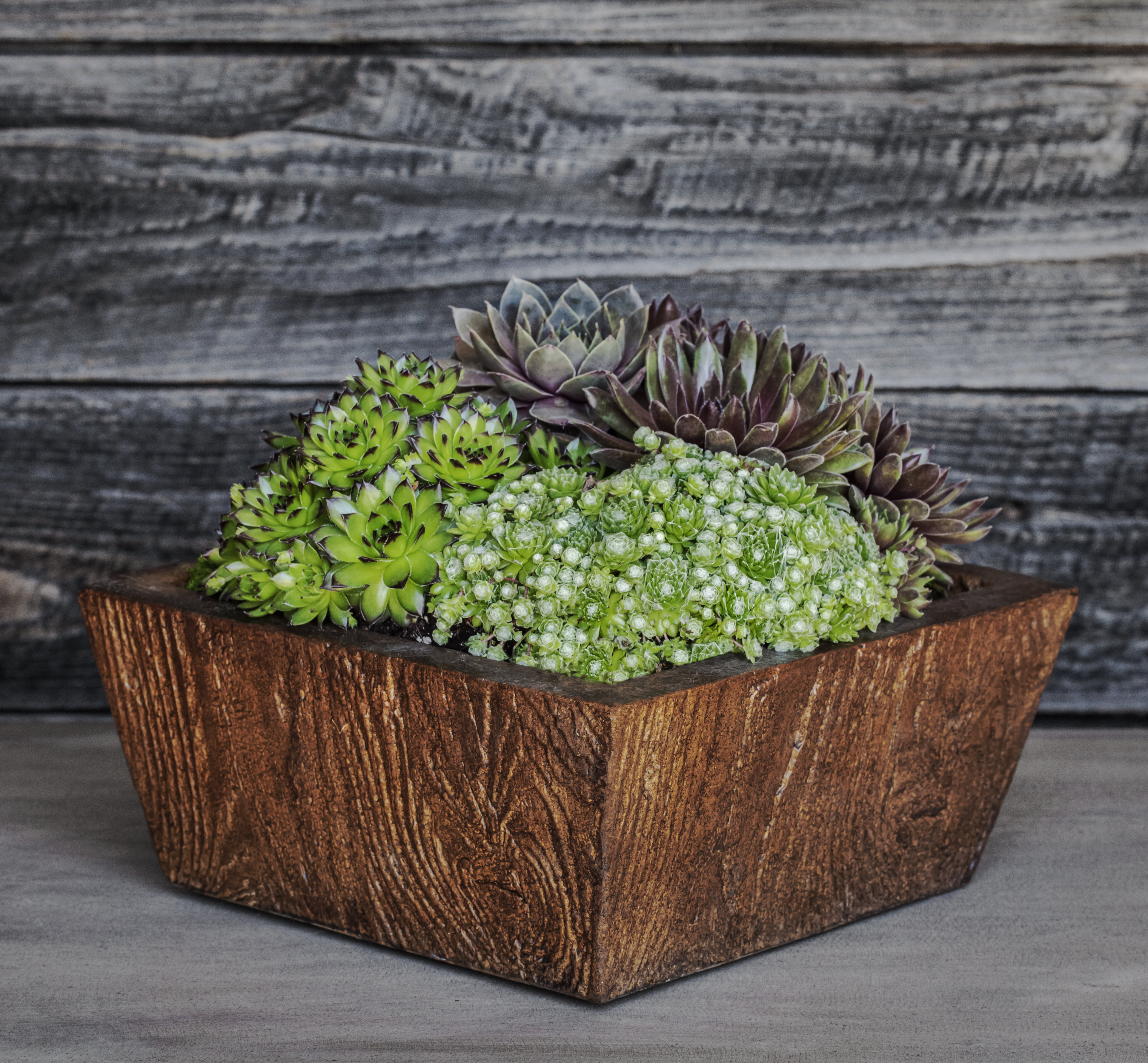 Campania International Barn Cast Stone Planter Box - Wayfair Canada