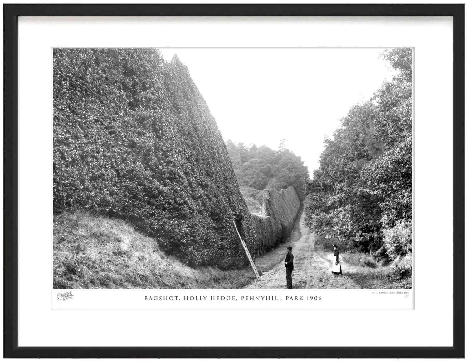 The Francis Frith Collection 'Bagshot, Holly Hedge, Pennyhill Park 1906 ...