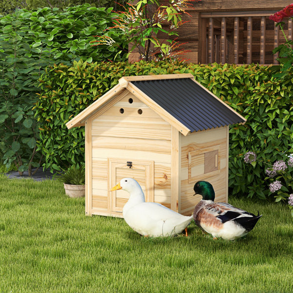 Tucker Murphy Pet™ Duck Coop, Wooden Duck House, Outdoor Small Animal ...