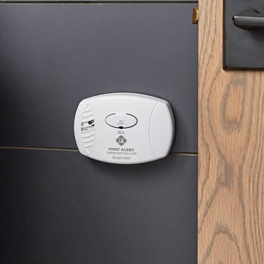 First Alert Wall Mounted Carbon Monoxide Detector | Wayfair