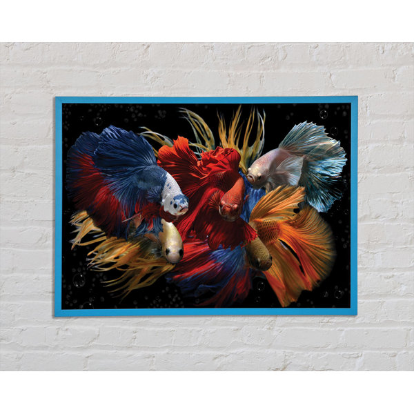 Bay Isle Home Siamese Fighting Fish by Unkown - Single Picture Frame ...