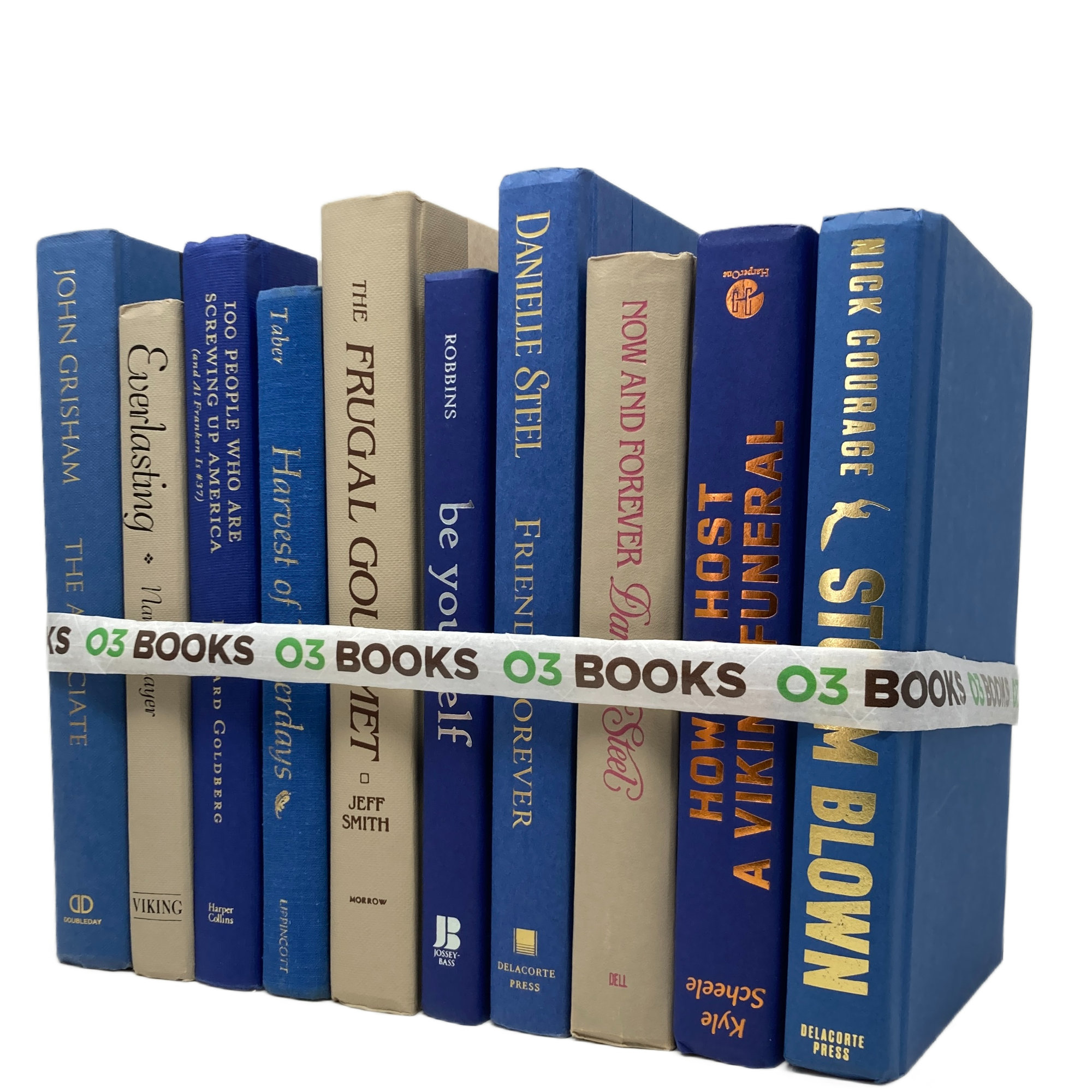 Red Barrel Studio Coastal Sands Decorative Books Blue, Beige and Violet ...