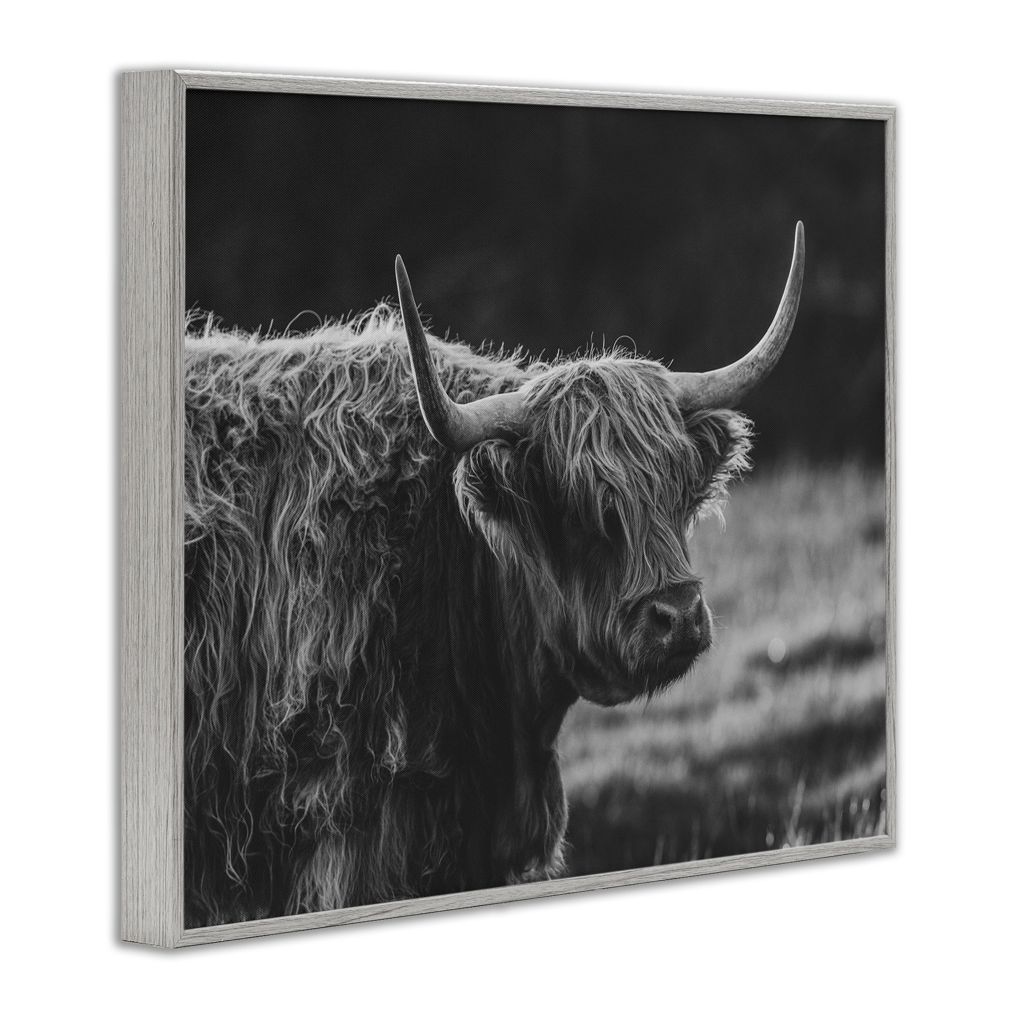 Ophelia & Co. Bold Scottish Highland Framed Giclee, design by Crystal ...