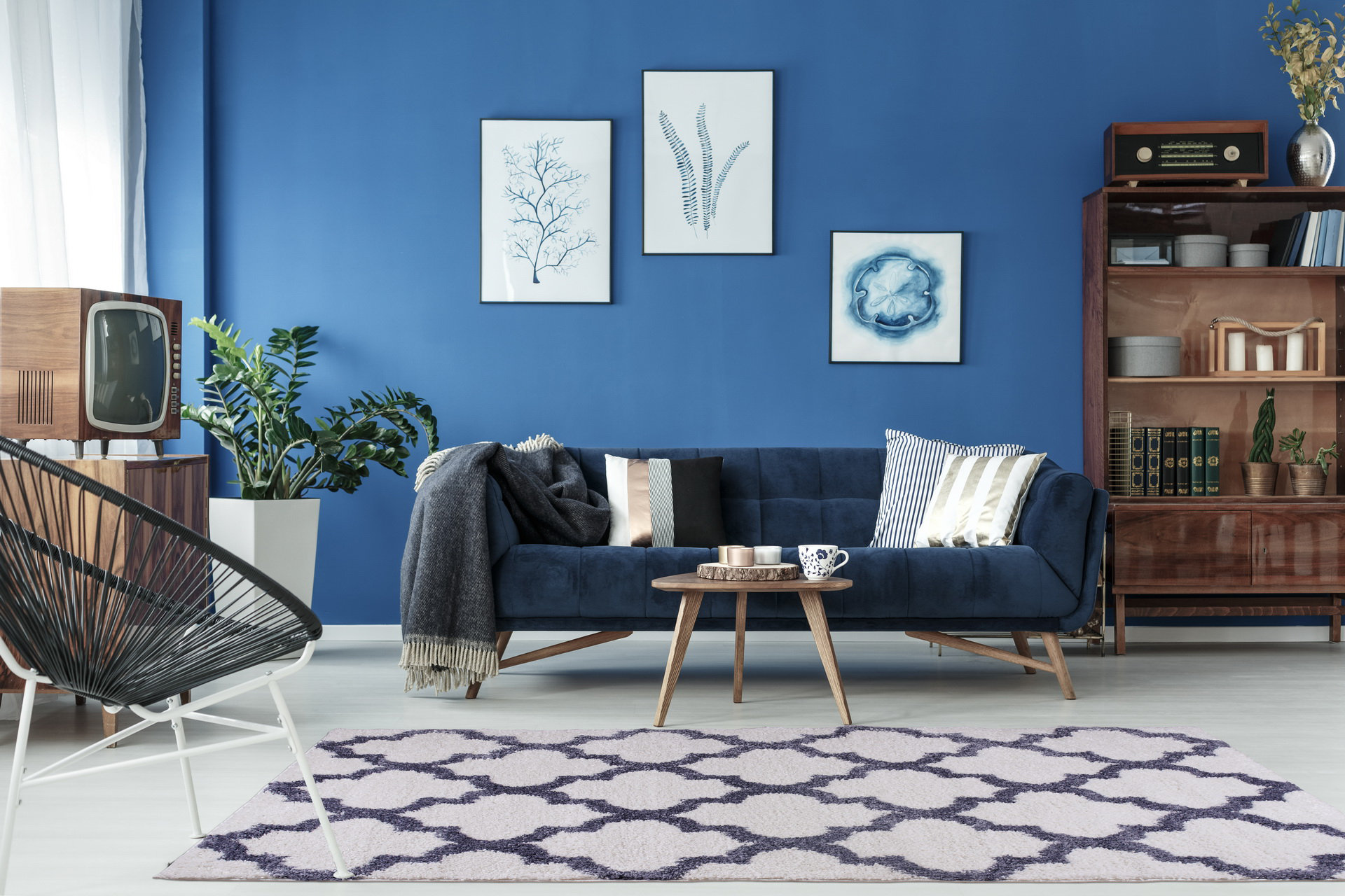 House of Hampton Church Shag Grey Area Rug - Wayfair Canada