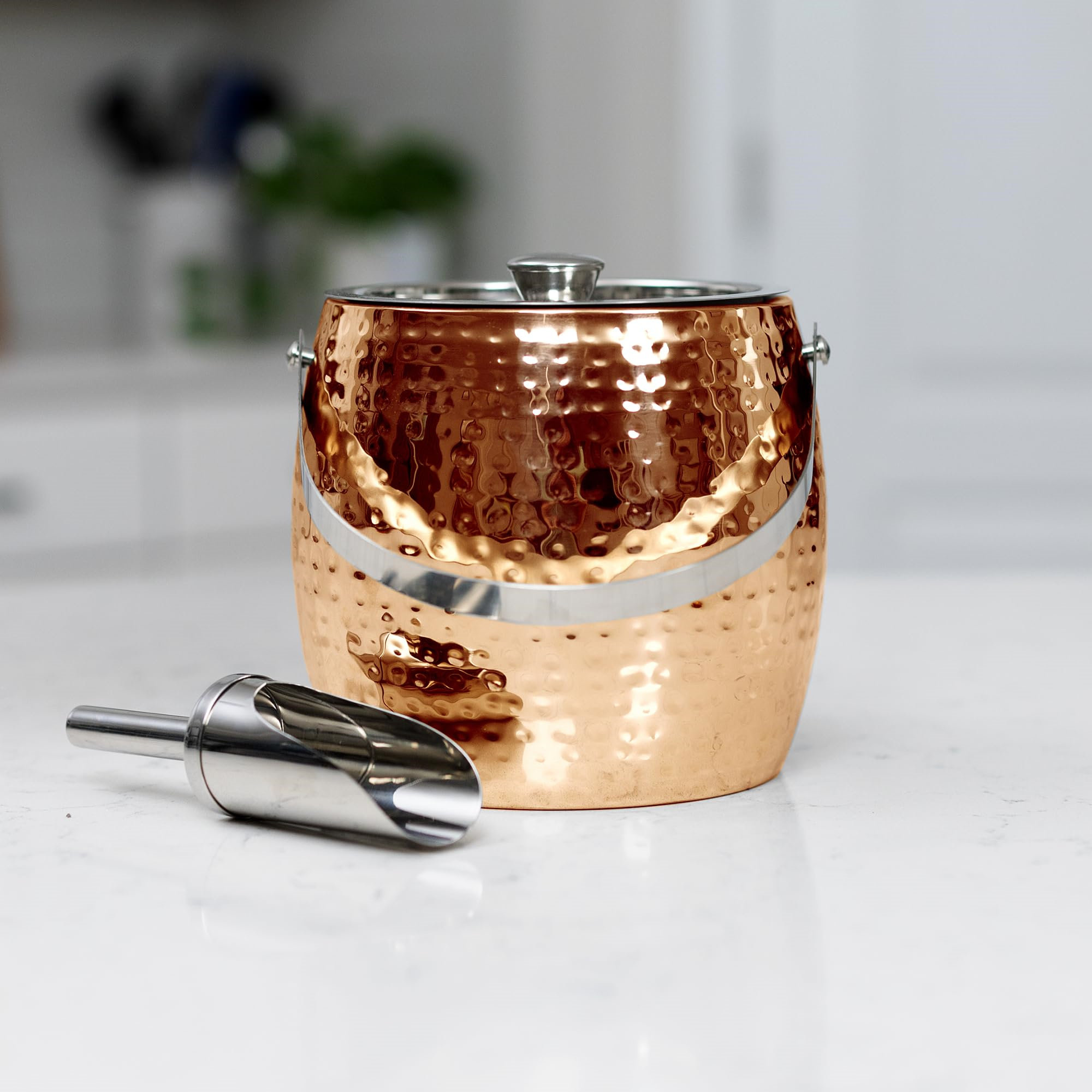 Blooming Insulated Party Ice Bucket With Lid And Spoon - Wayfair Canada