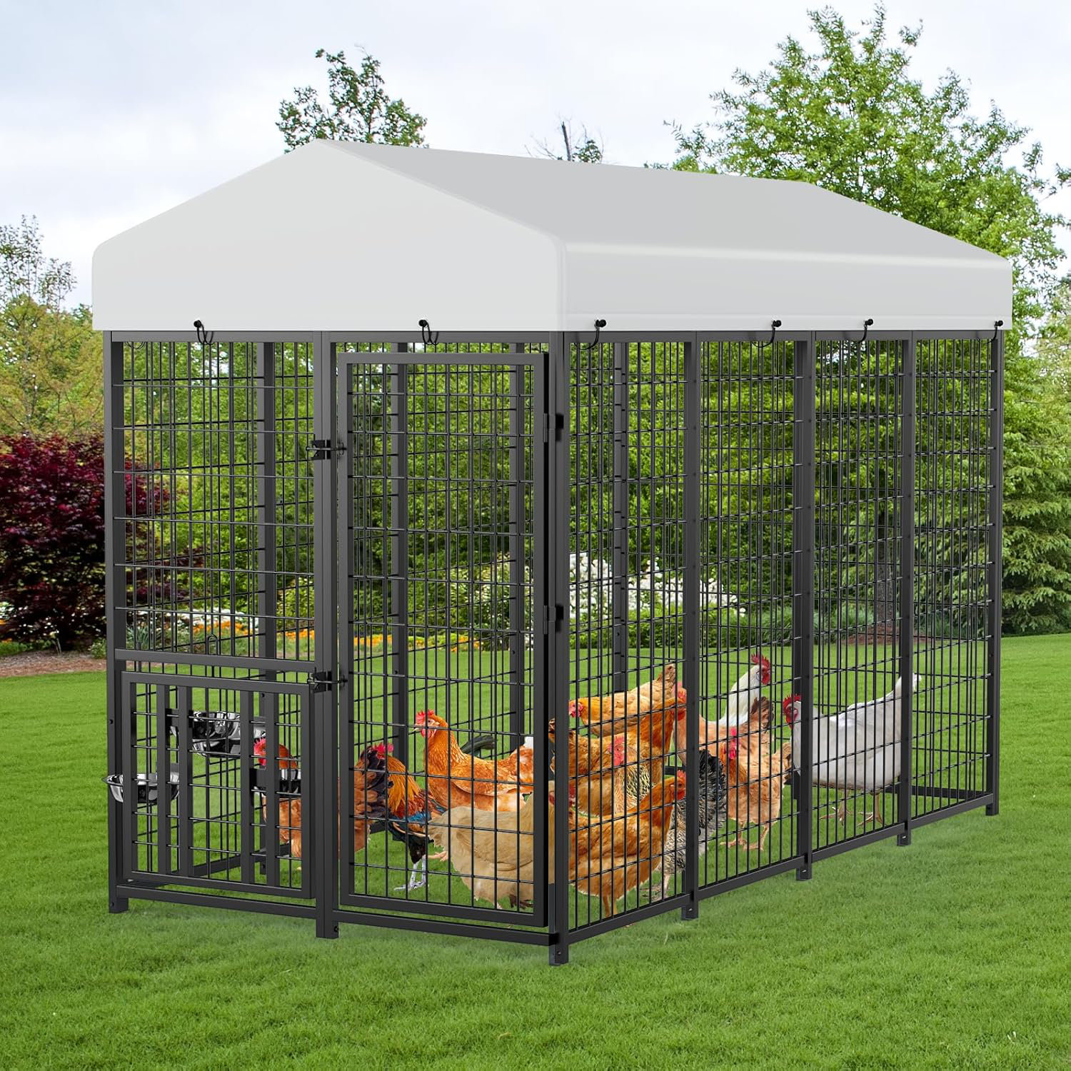 Archie & Oscar™ Lavonne Large Metal Chicken Coop, Walk-in Poultry ...