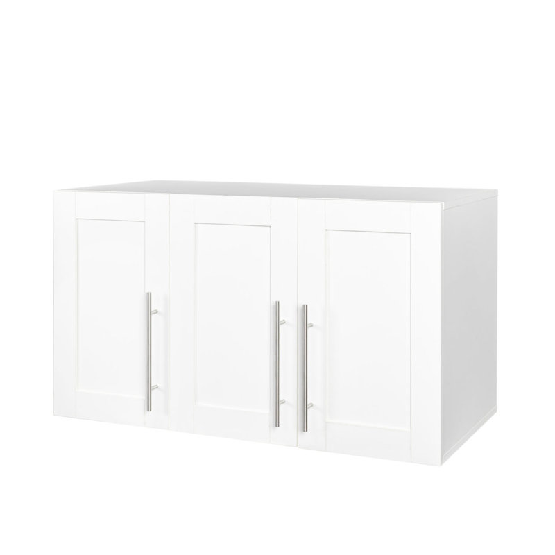 Ebern Designs Wall Mounted Storage Cabinet | Wayfair