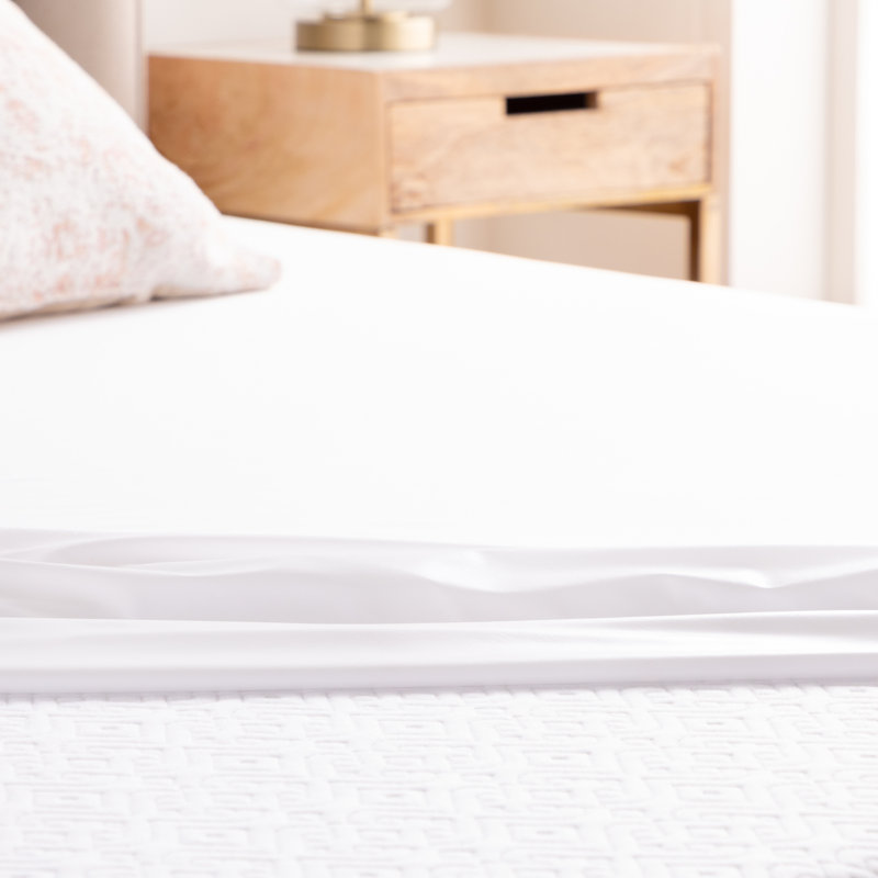 Wayfair Sleep™ Waterproof Fitted Mattress Protector & Reviews | Wayfair
