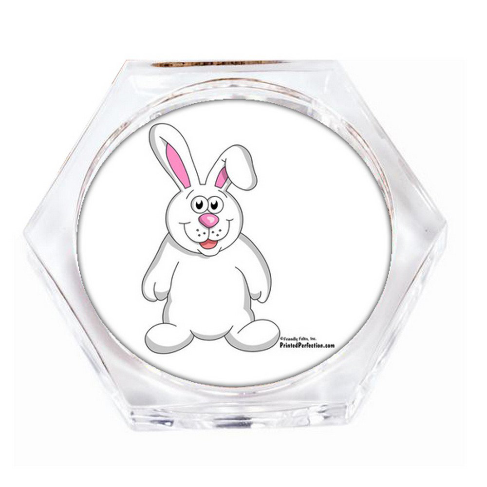 Printed Perfection Personalized Bunny Rabbit Drink Coaster Gift Set (4 ...